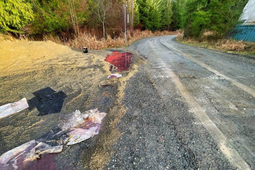 Diesel mistakenly pumped into water truck on wrong B.C. farm leads to ...